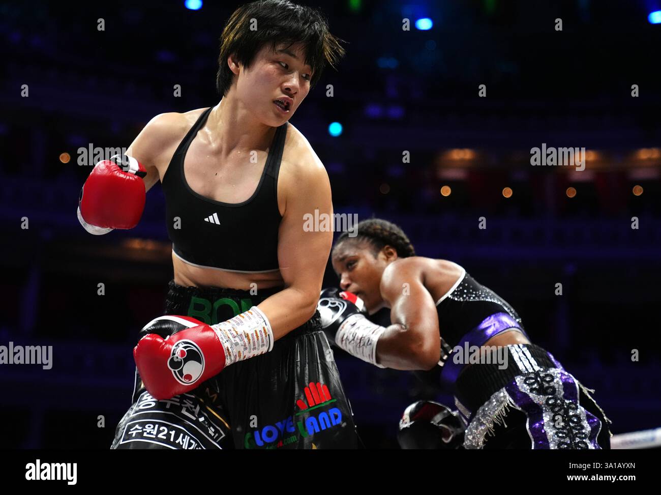 Bo Mi Re Shin (left) and Caroline Dubois in the WBC World Light weight ...