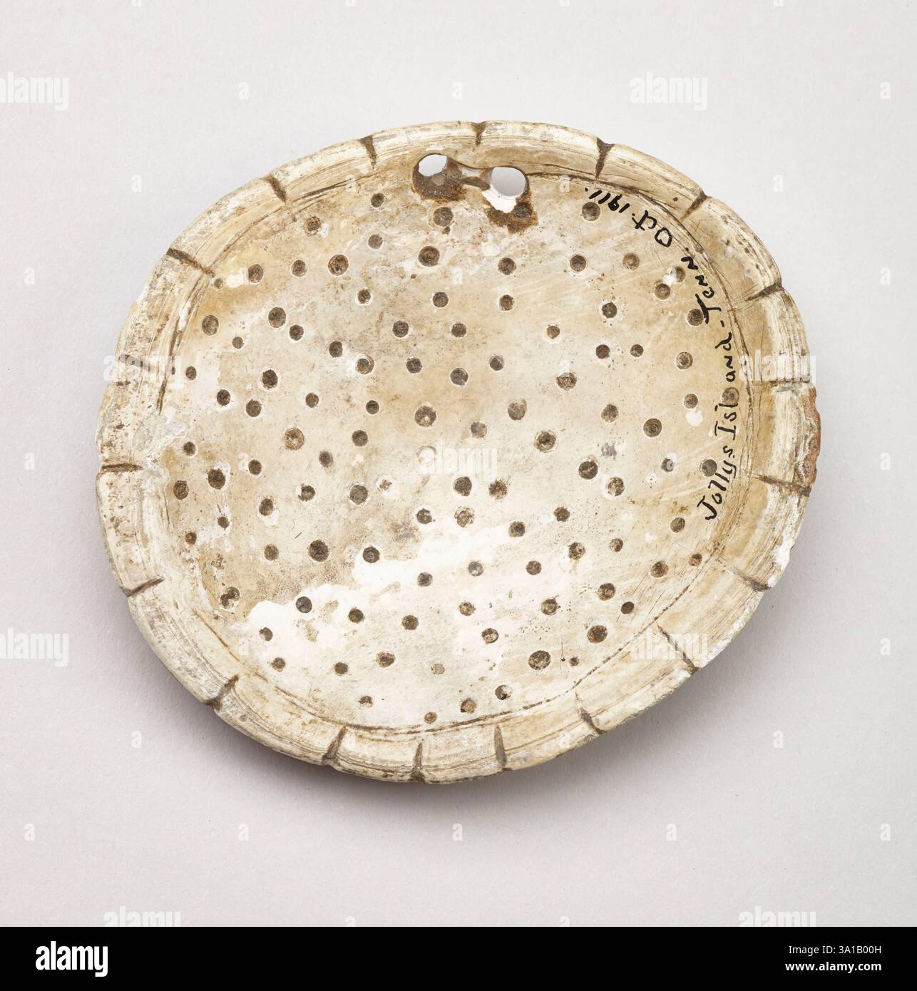 Circular shell gorget with scalloped edges, 1200-1500 Stock Photo - Alamy