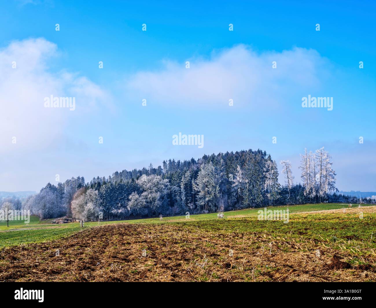 Winter sun in the Bavarian hills between the Lech and Isar rivers Stock ...
