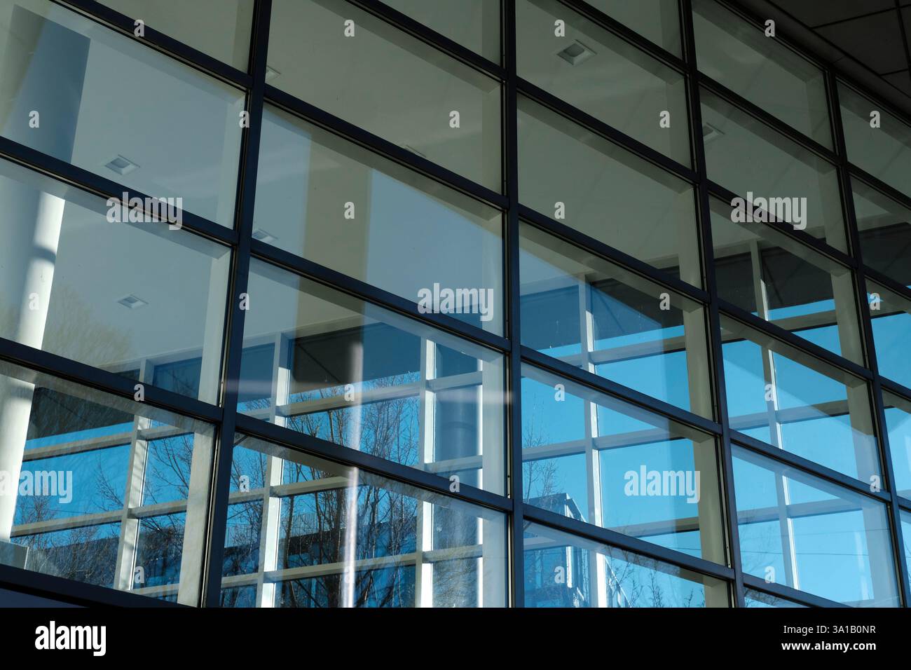 The light-flooded glass facade of an office building, reflection of ...