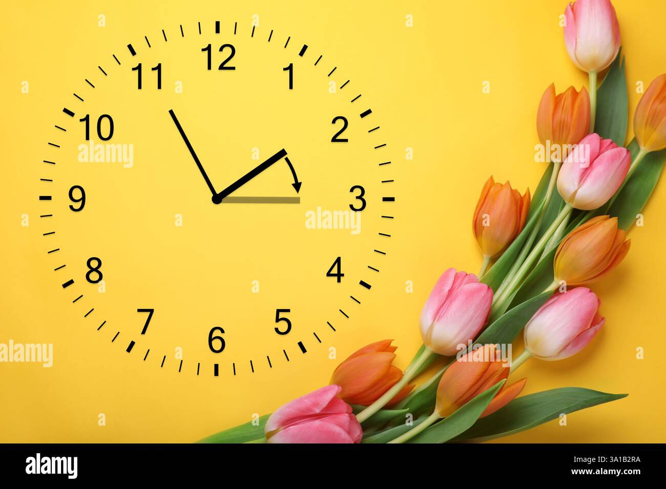 Clock and flowers on orange background, top view. Arrow showing time ...