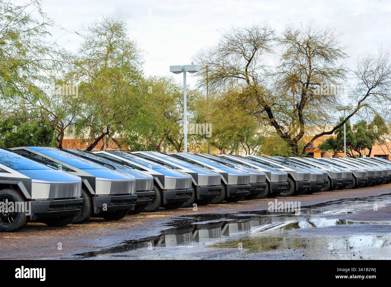 Mesa, Arizona, USA. 7th Mar, 2025. Rows of Cybertrucks sit idle in an ...