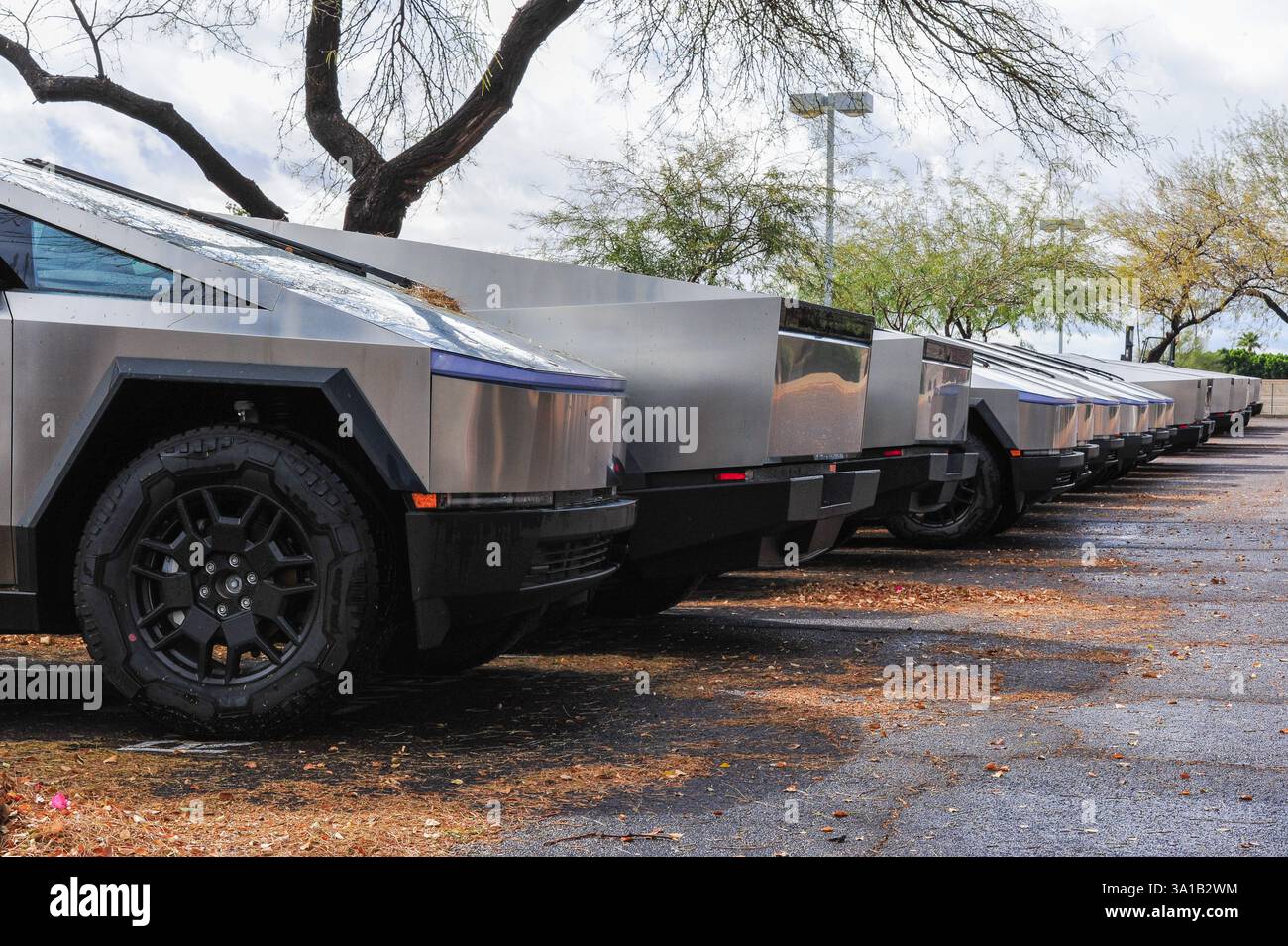 Mesa, Arizona, USA. 7th Mar, 2025. Rows of Cybertrucks sit idle in an ...