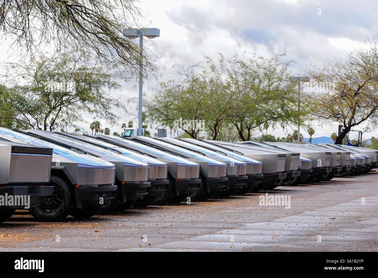Mesa, Arizona, USA. 7th Mar, 2025. Rows of Cybertrucks sit idle in an ...