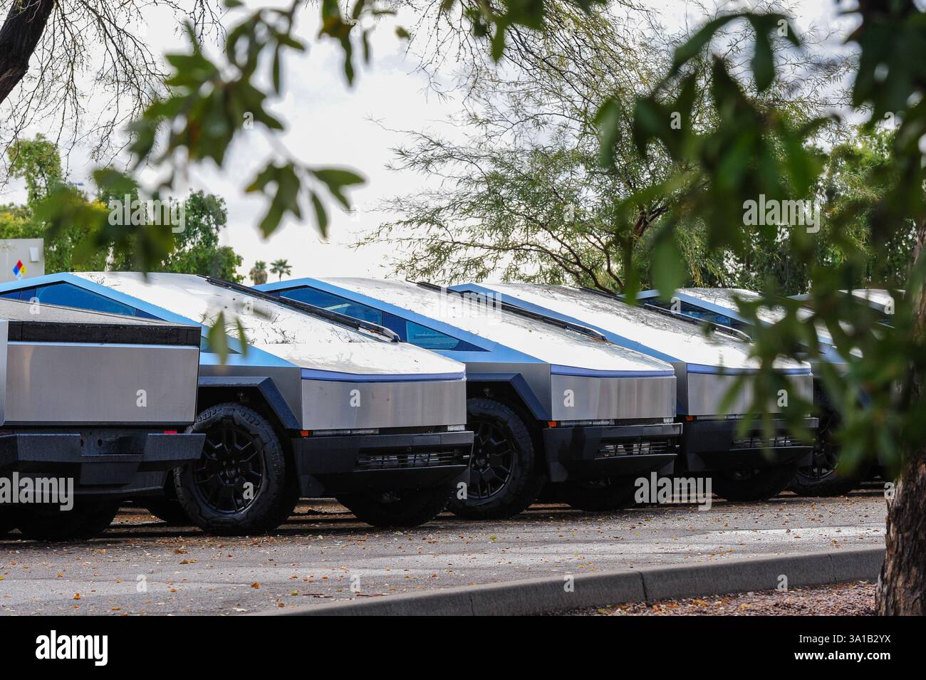 Mesa, Arizona, USA. 7th Mar, 2025. Rows of Cybertrucks sit idle in an ...