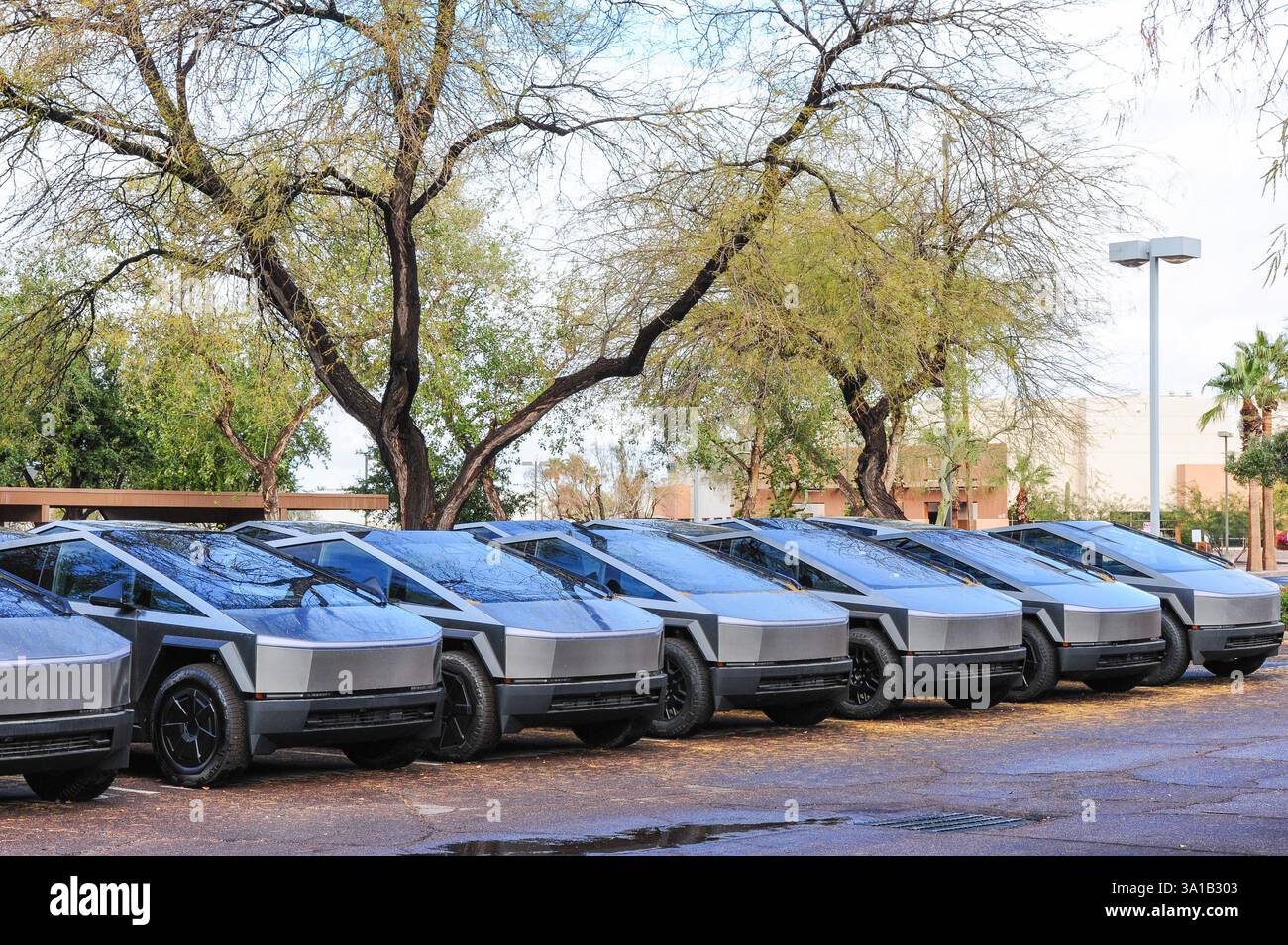 Mesa, Arizona, USA. 7th Mar, 2025. Rows of Cybertrucks sit idle in an ...