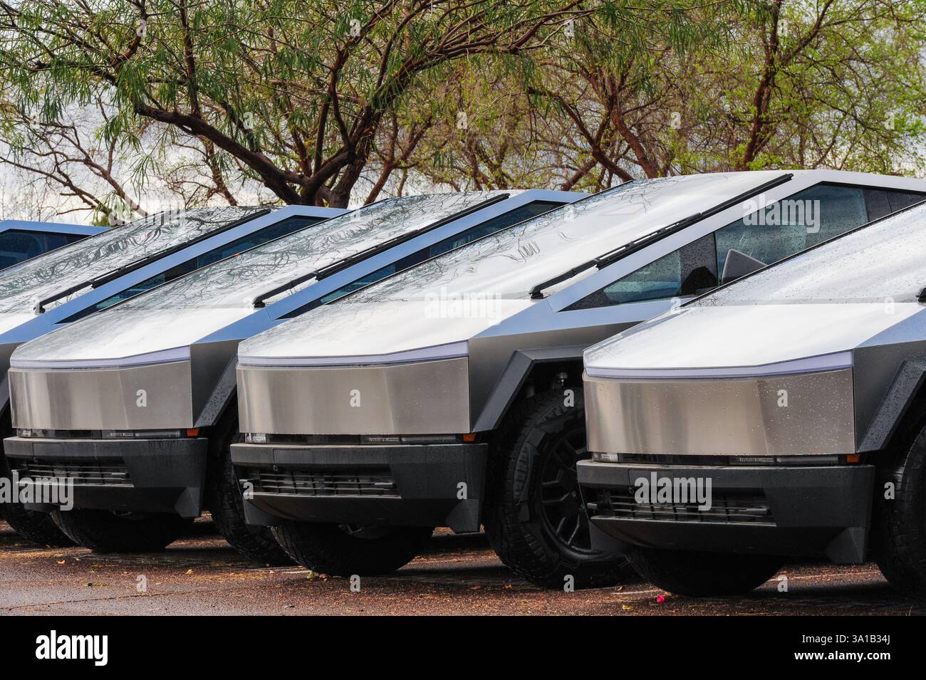Mesa, Arizona, USA. 7th Mar, 2025. Rows of Cybertrucks sit idle in an ...