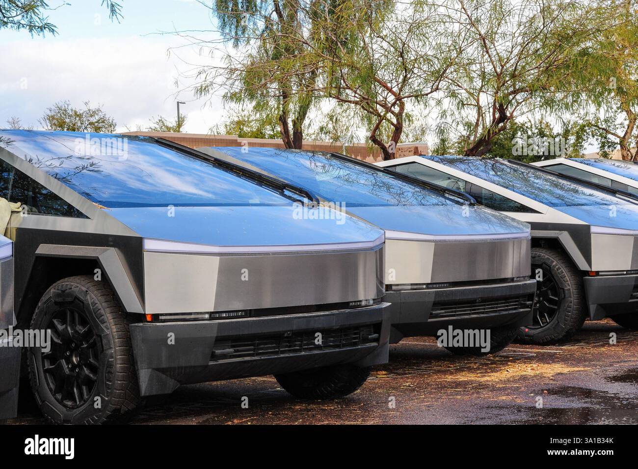 Mesa, Arizona, USA. 7th Mar, 2025. Rows of Cybertrucks sit idle in an ...