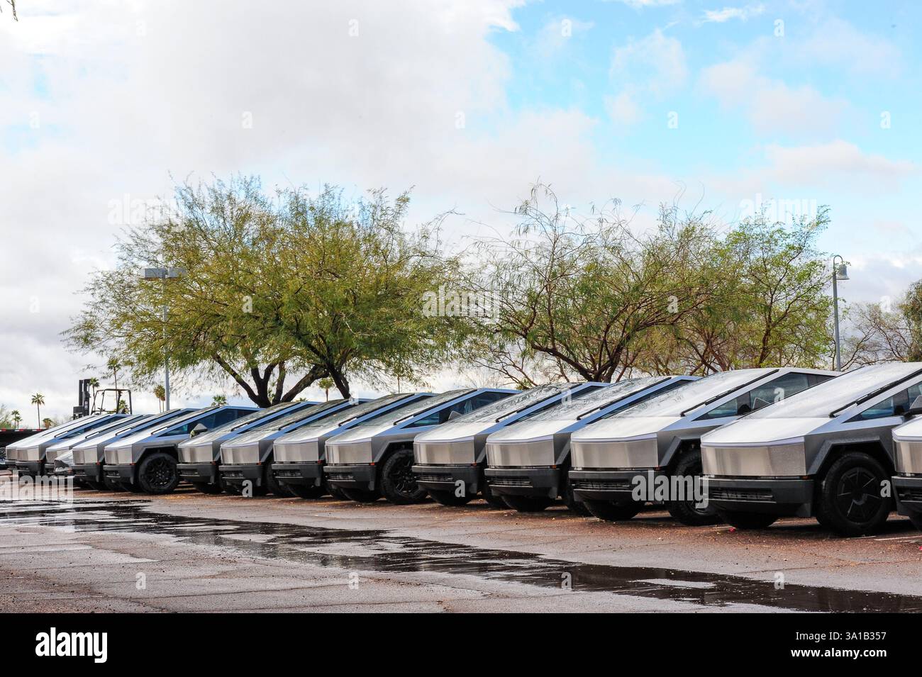 Mesa, Arizona, USA. 7th Mar, 2025. Rows of Cybertrucks sit idle in an ...
