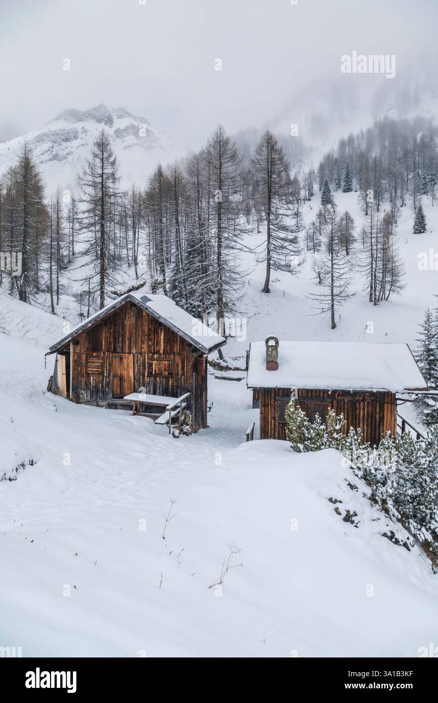 winter landscape, a village of wooden huts in the Dolomites, Valfredda ...