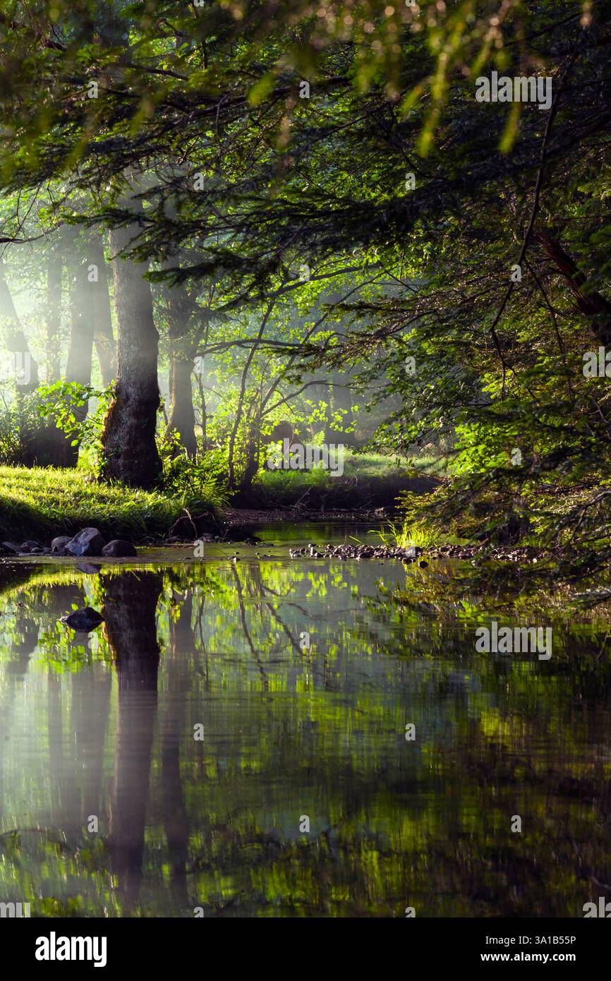 Stream flows through mountains hi-res stock photography and images - Alamy