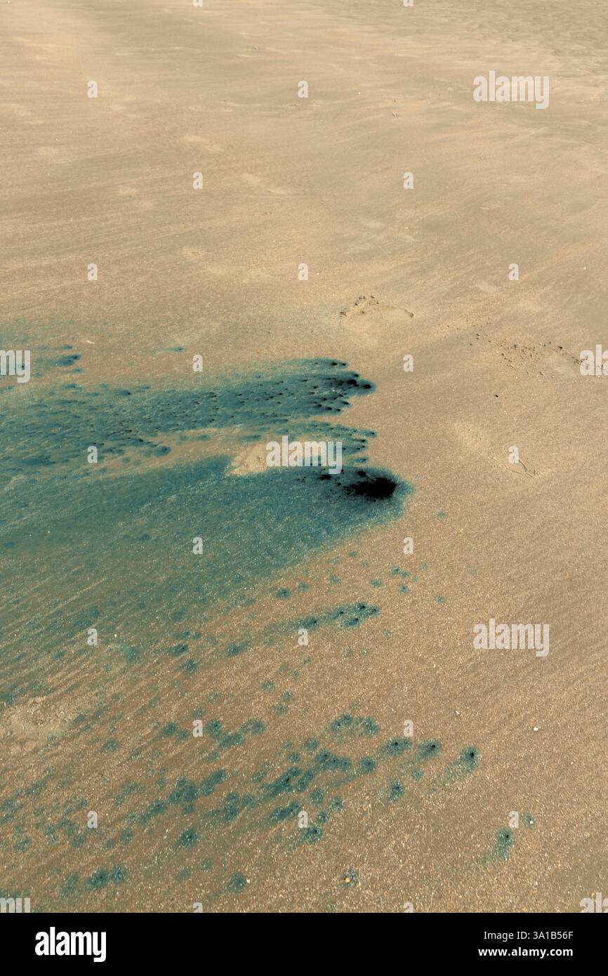 Natural structures and patterns in green color on the sandy bottom at ...