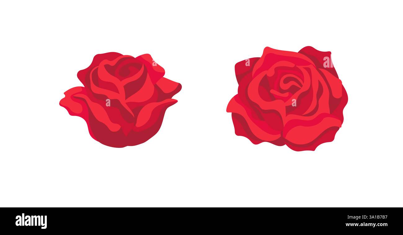 Vibrant red roses blooming in Stock Vector Images - Alamy