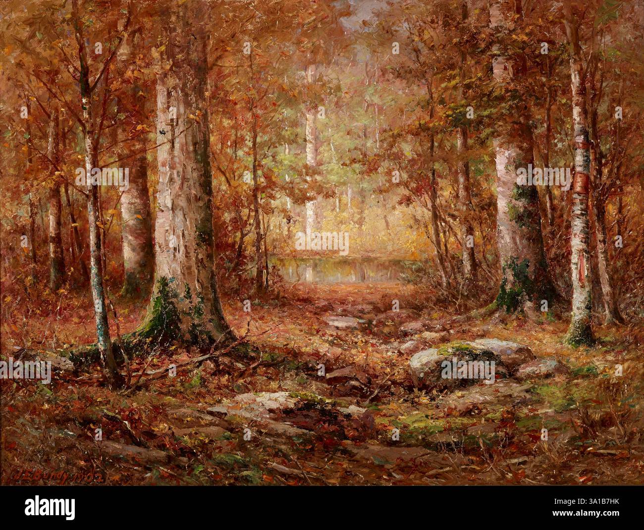 Woodland, Northern Michigan, 1902 Stock Photo - Alamy