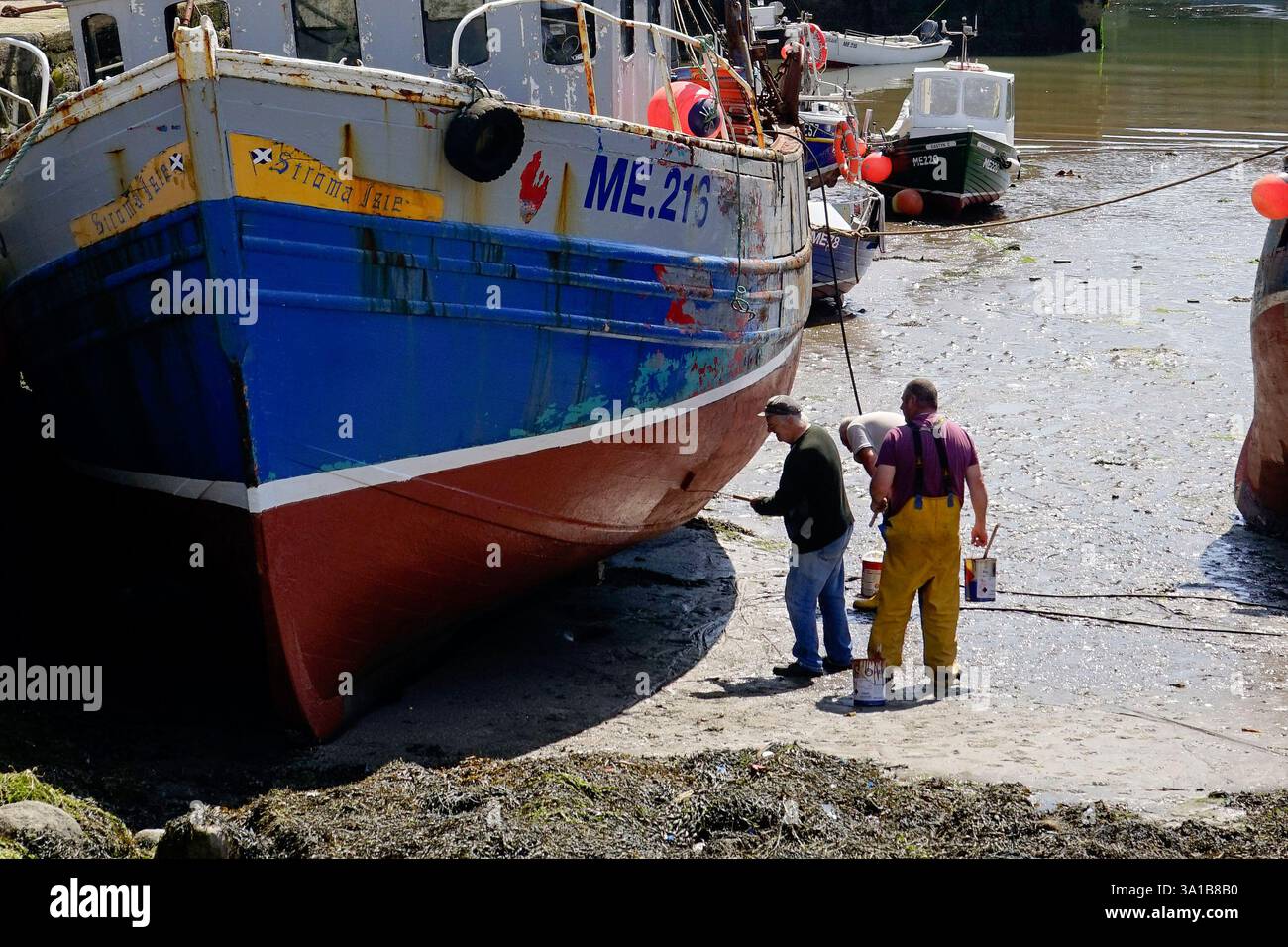 Stroma scotland hi-res stock photography and images - Alamy