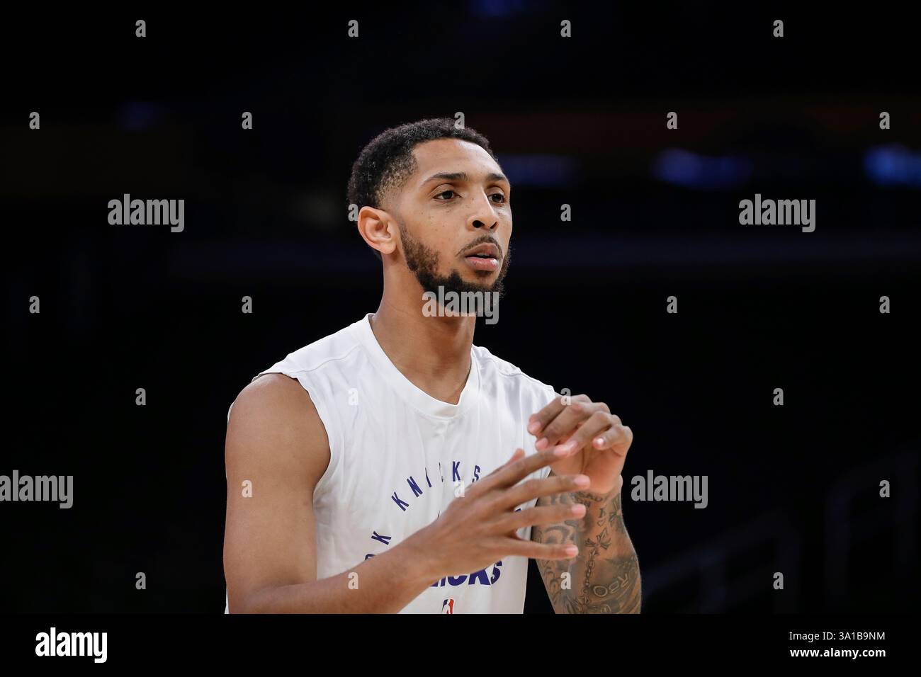 LOS ANGELES, CA - MARCH 06: New York Knicks guard Cameron Payne (1 ...