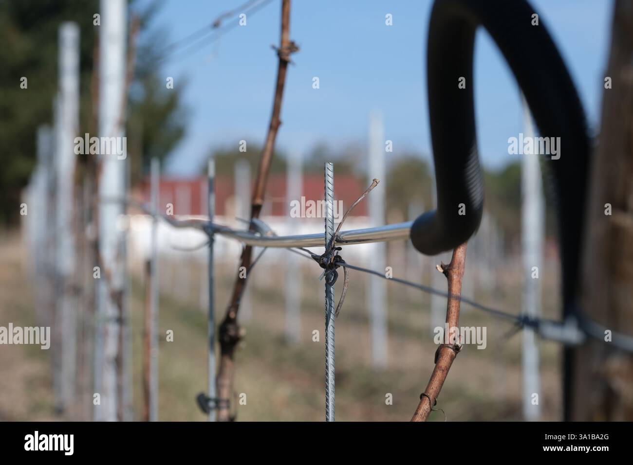 Jessen, Germany. 07th Mar, 2025. An electrical connection on an ...
