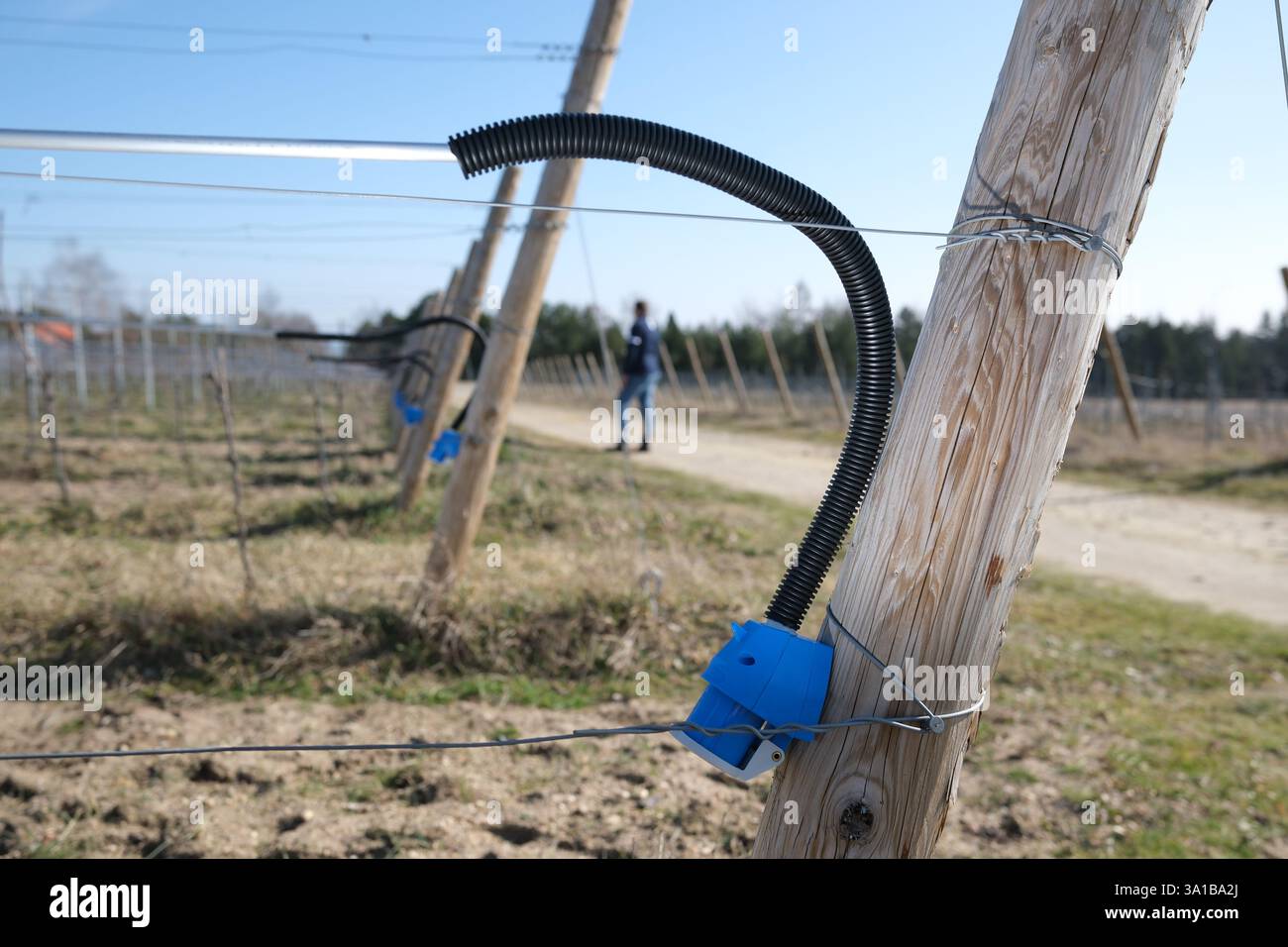 07 March 2025, Saxony-Anhalt, Jessen: An electrical connection on an ...