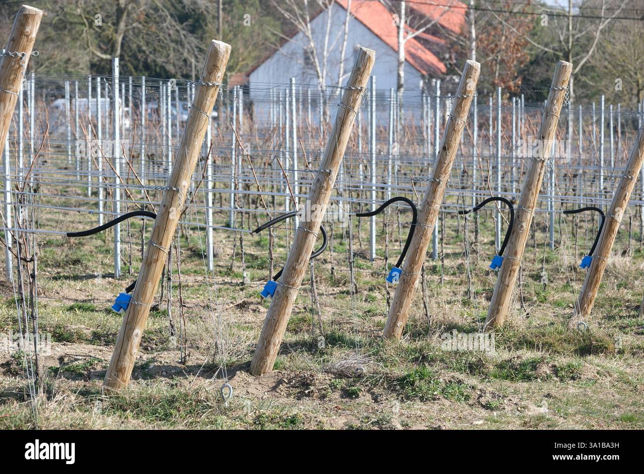 Jessen, Germany. 07th Mar, 2025. Electrical connections on aluminum ...