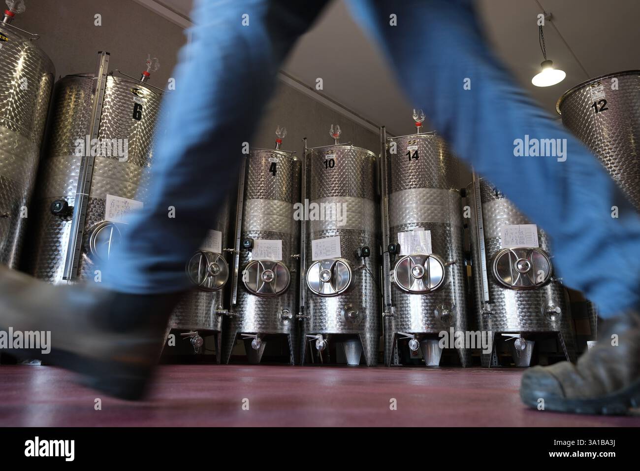 Jessen, Germany. 07th Mar, 2025. Wine tanks at winegrower Johannes ...