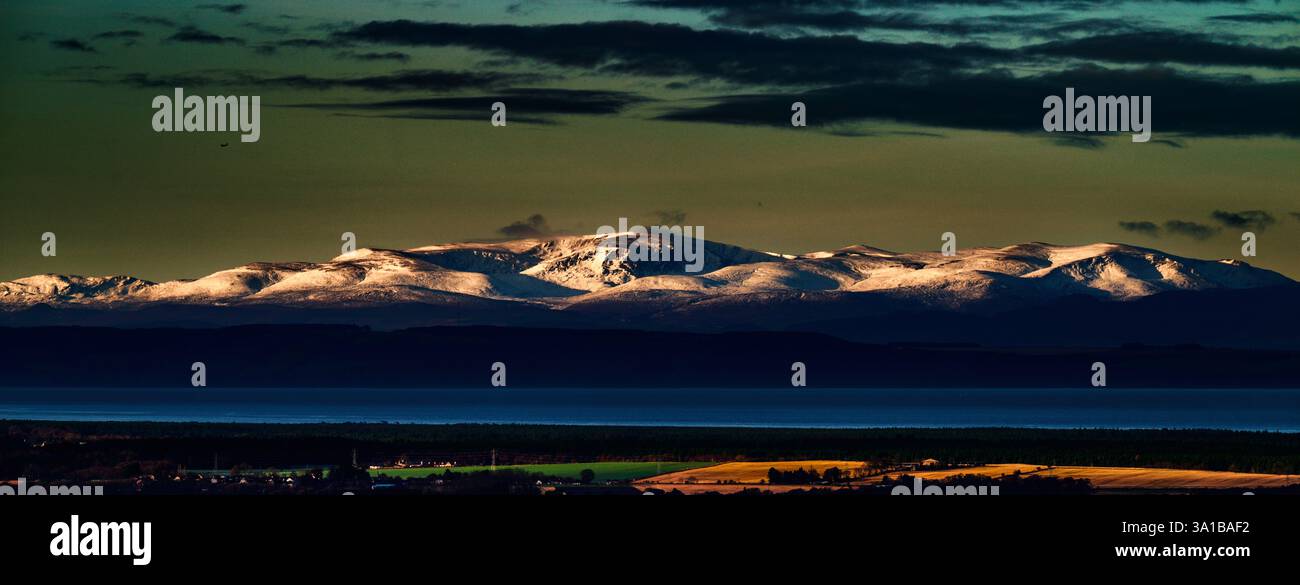 Califer forres hi-res stock photography and images - Alamy