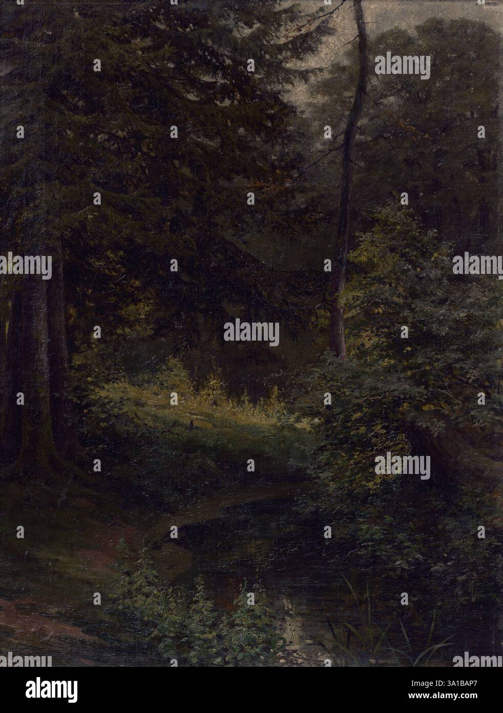 Inside the Forest, 1896 Stock Photo - Alamy