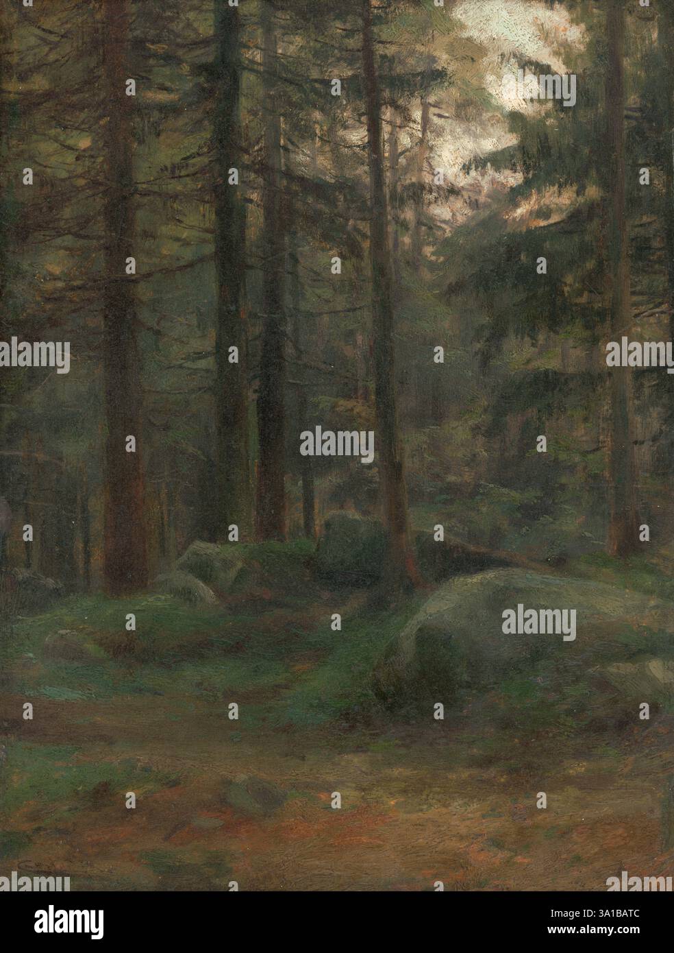Interior of Coniferious Woods with Rocks, 1895-1900 Stock Photo - Alamy