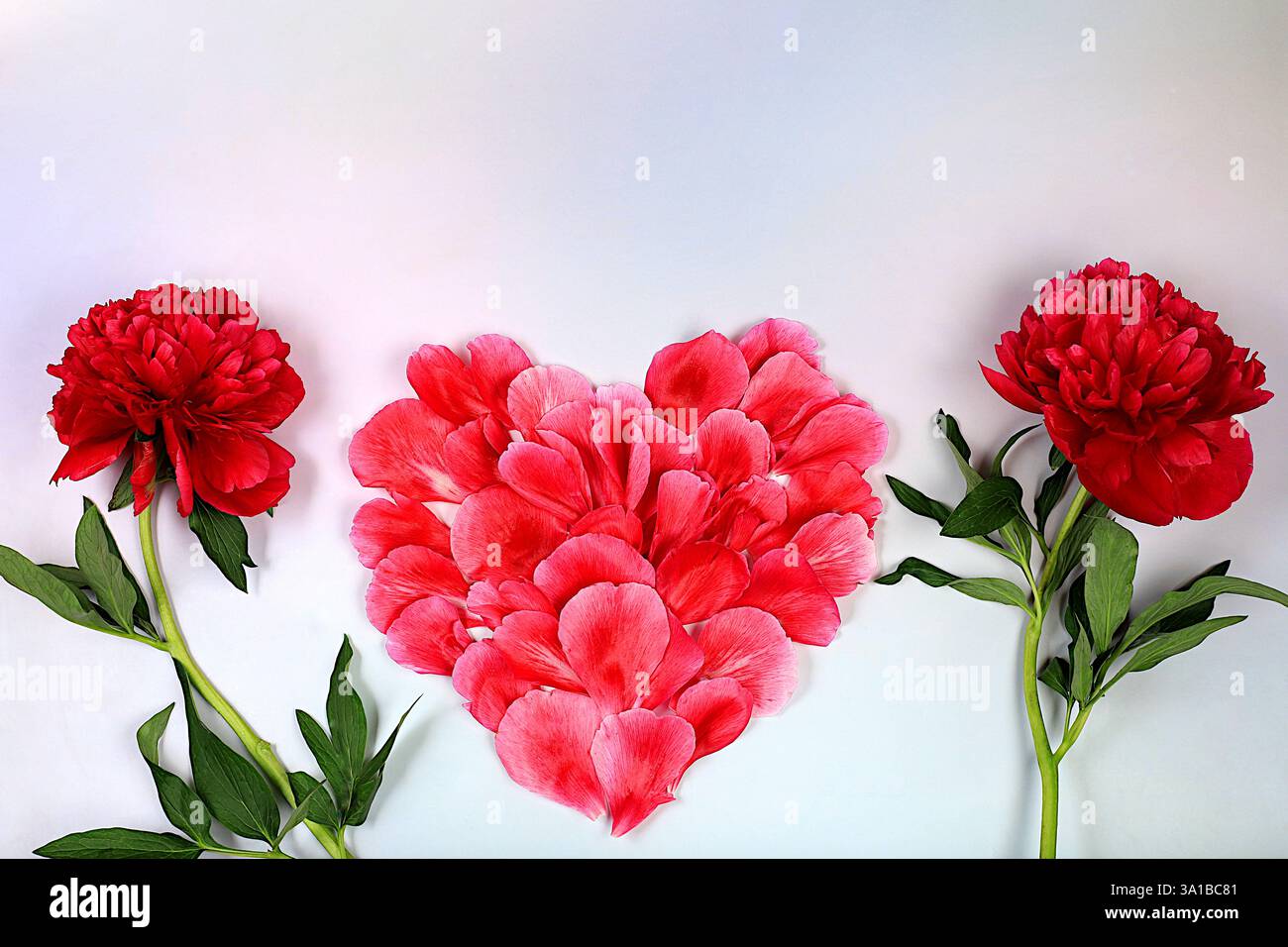 Abstract floral composition and greeting card with a heart of fresh ...