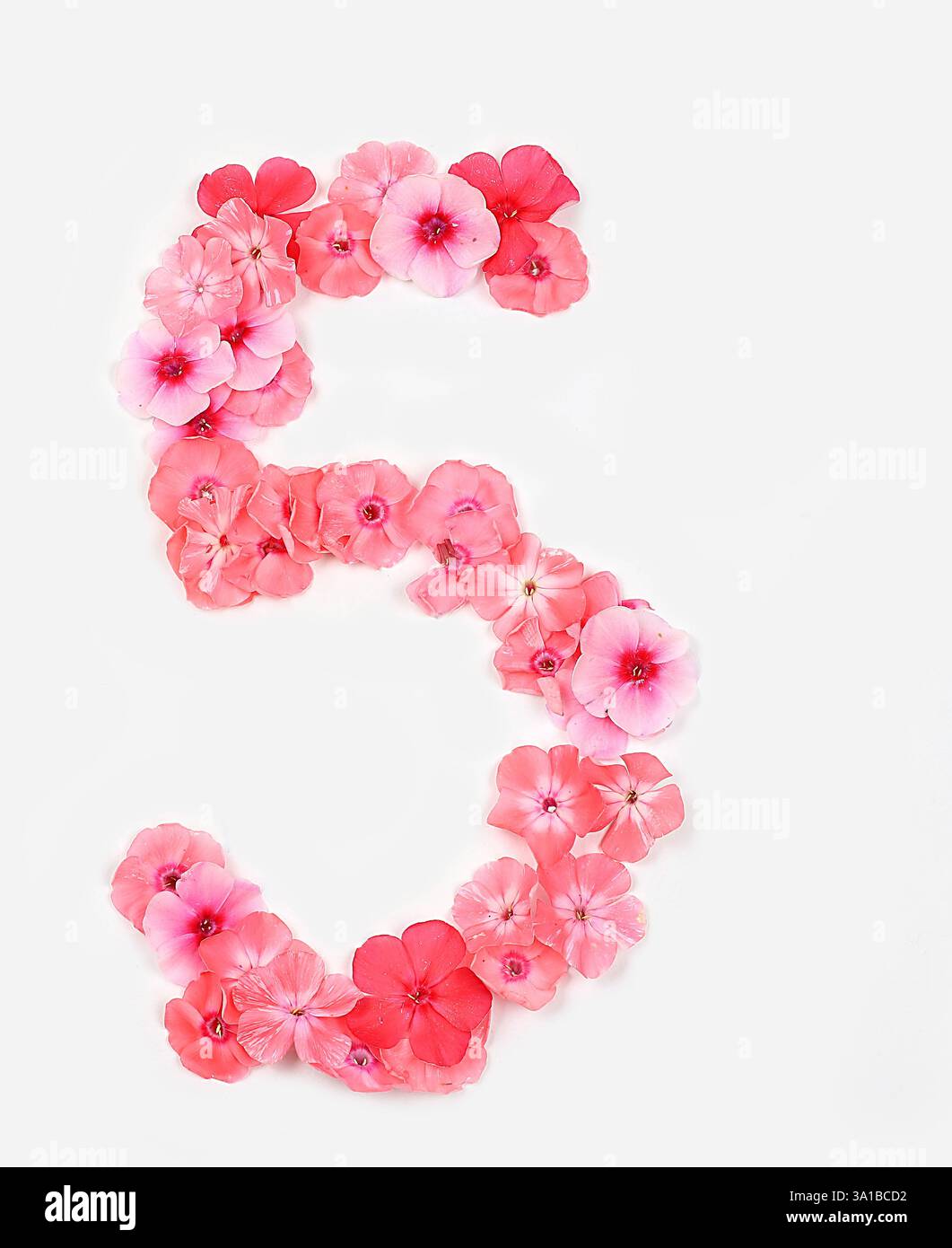 Number 5 made from real fresh flowers. Floral font concept, alphabet ...