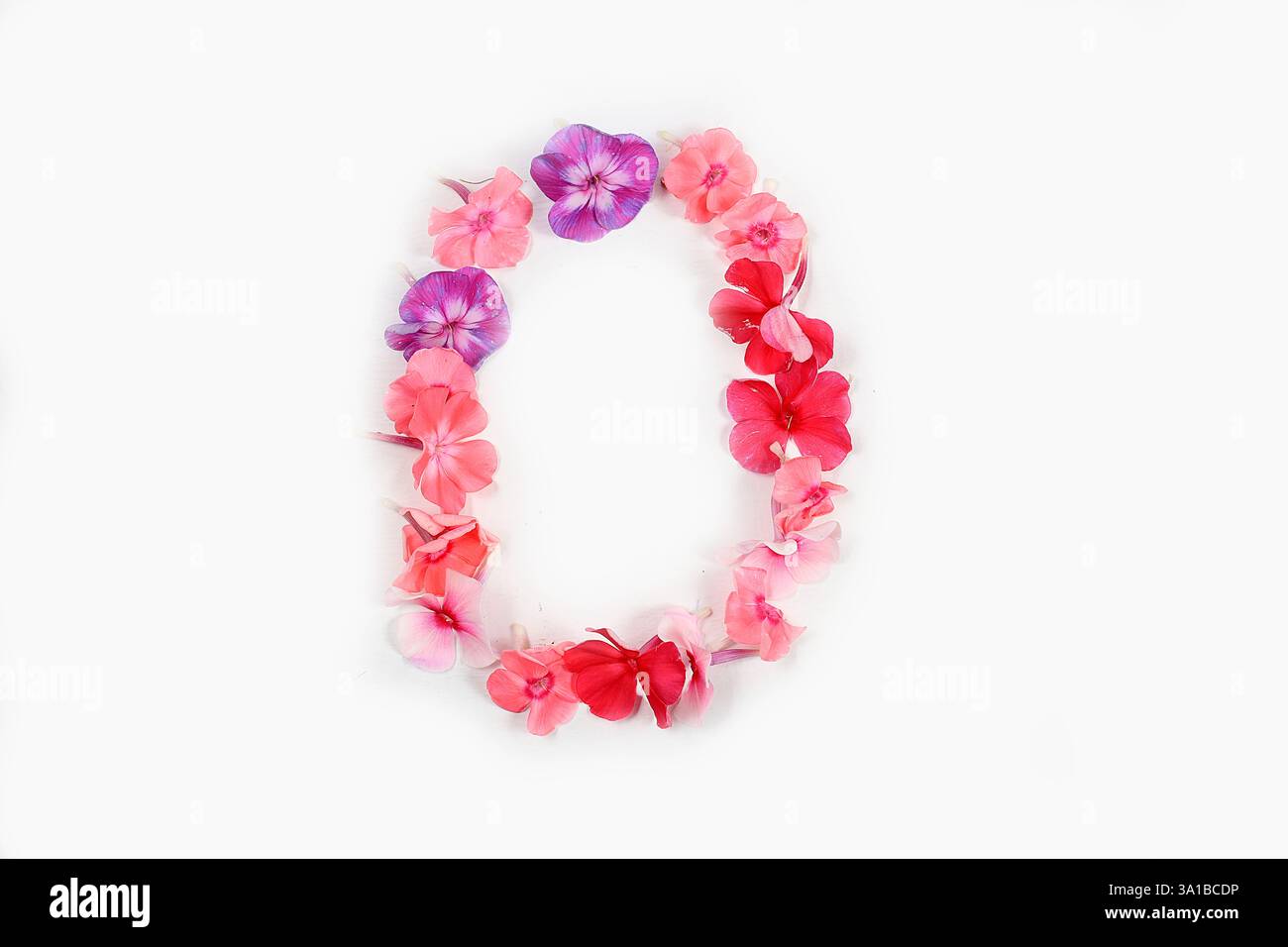 Letter O made from real fresh flowers. Floral font concept. Unique ...