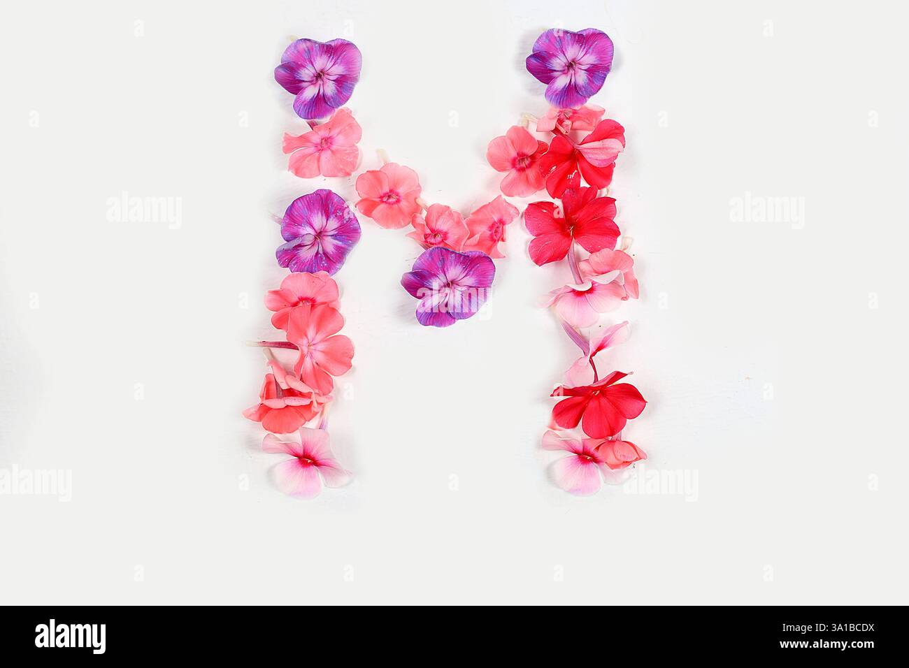 Letter M made from real fresh flowers. Floral font concept. Unique ...