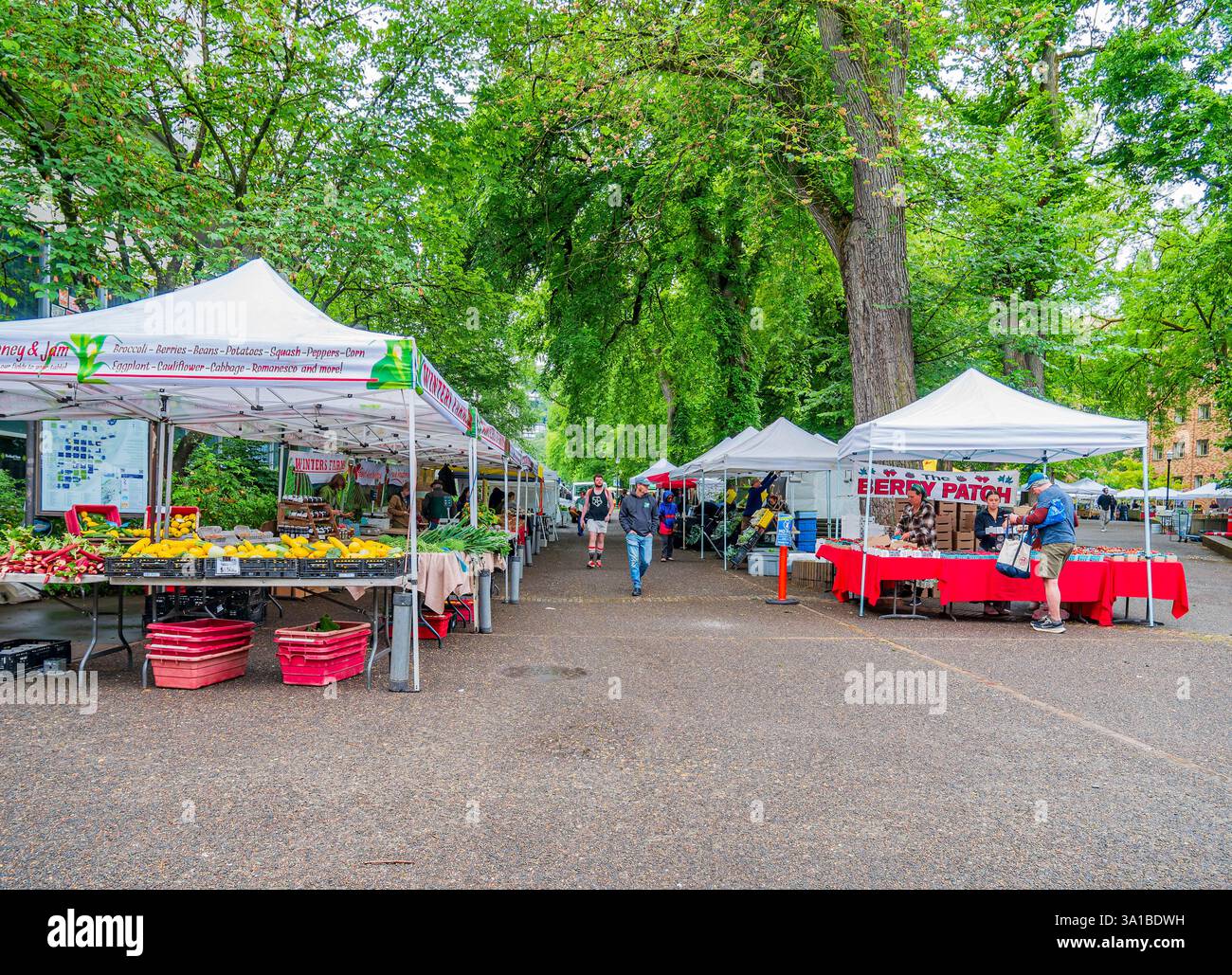 Portland, JUN 15 2023 - Daytime view of the Oregon Farmers Market Stock ...