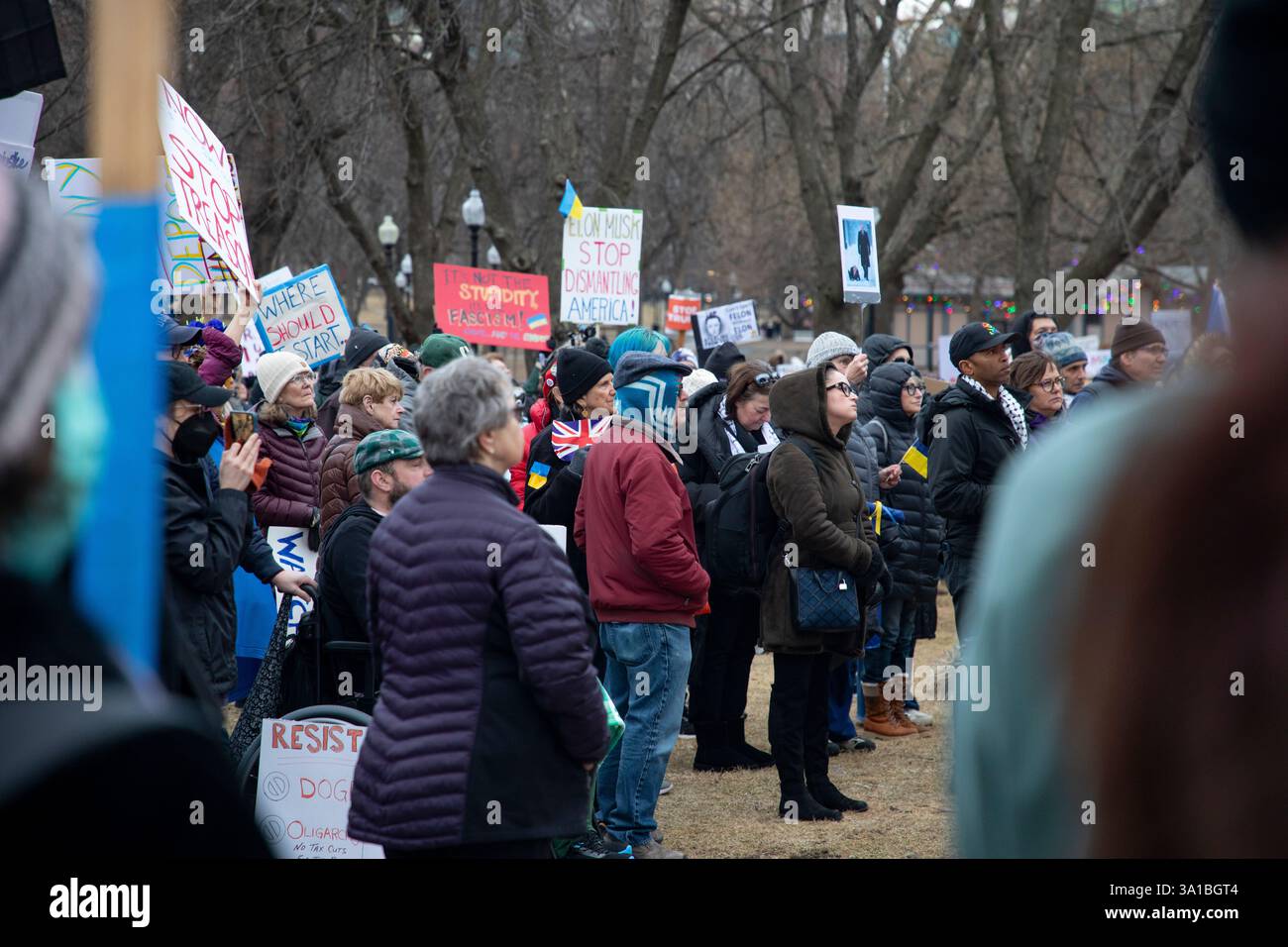 People protesting Donald Trump and Elon Musk at the Boston Commons in ...
