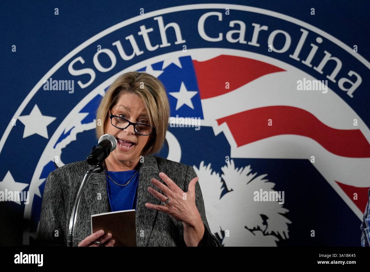 A media witness, Anna Dobbins describes the execution of South Carolina ...