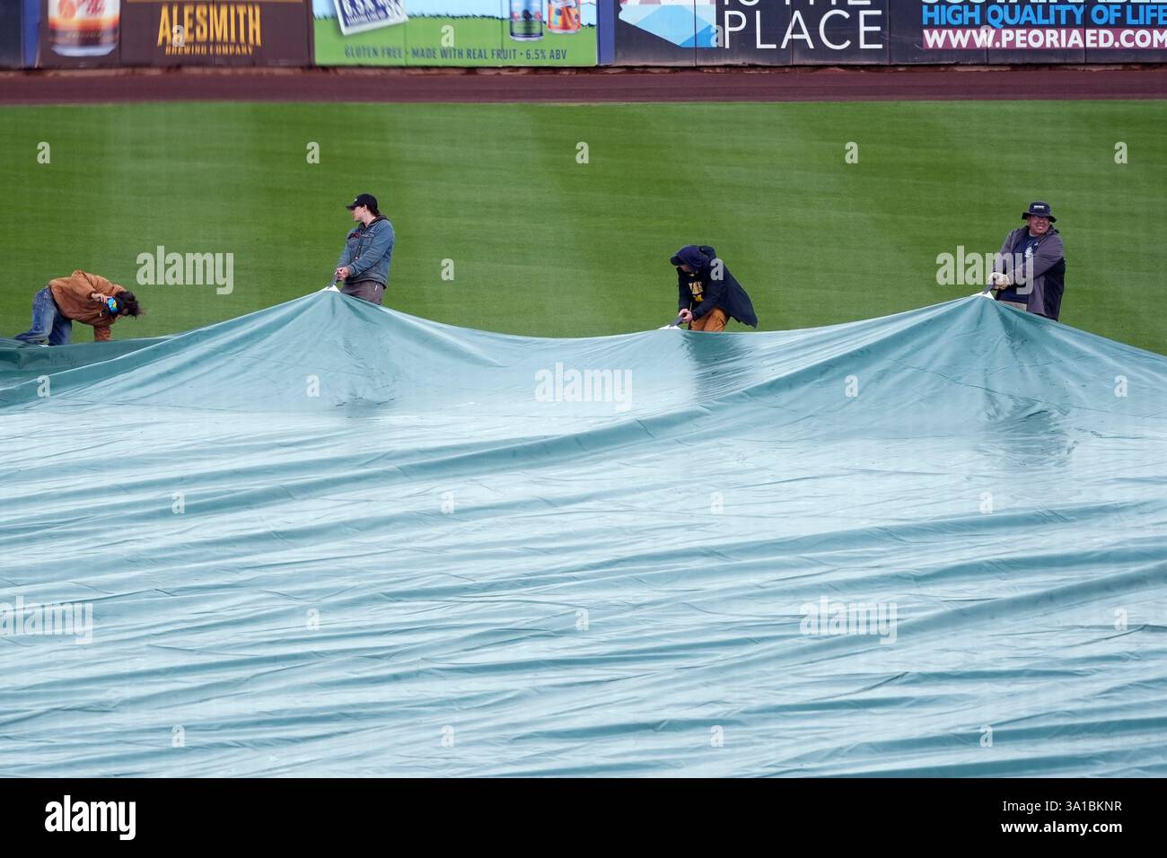 Members of the Peoria Sports Complex grounds crew remove the infield ...