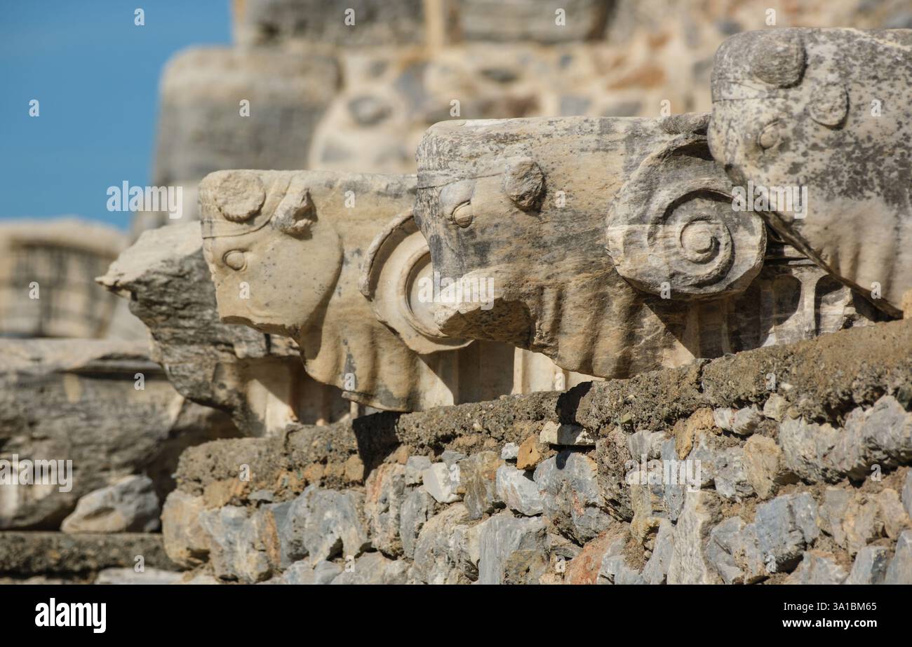Roman stone carvings hi-res stock photography and images - Alamy
