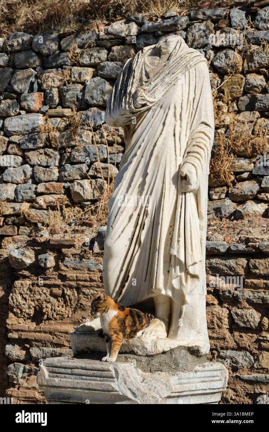 Turkey, Turkiye. Roman Ruins at Ephesus. Cat Resting at Foot of a ...