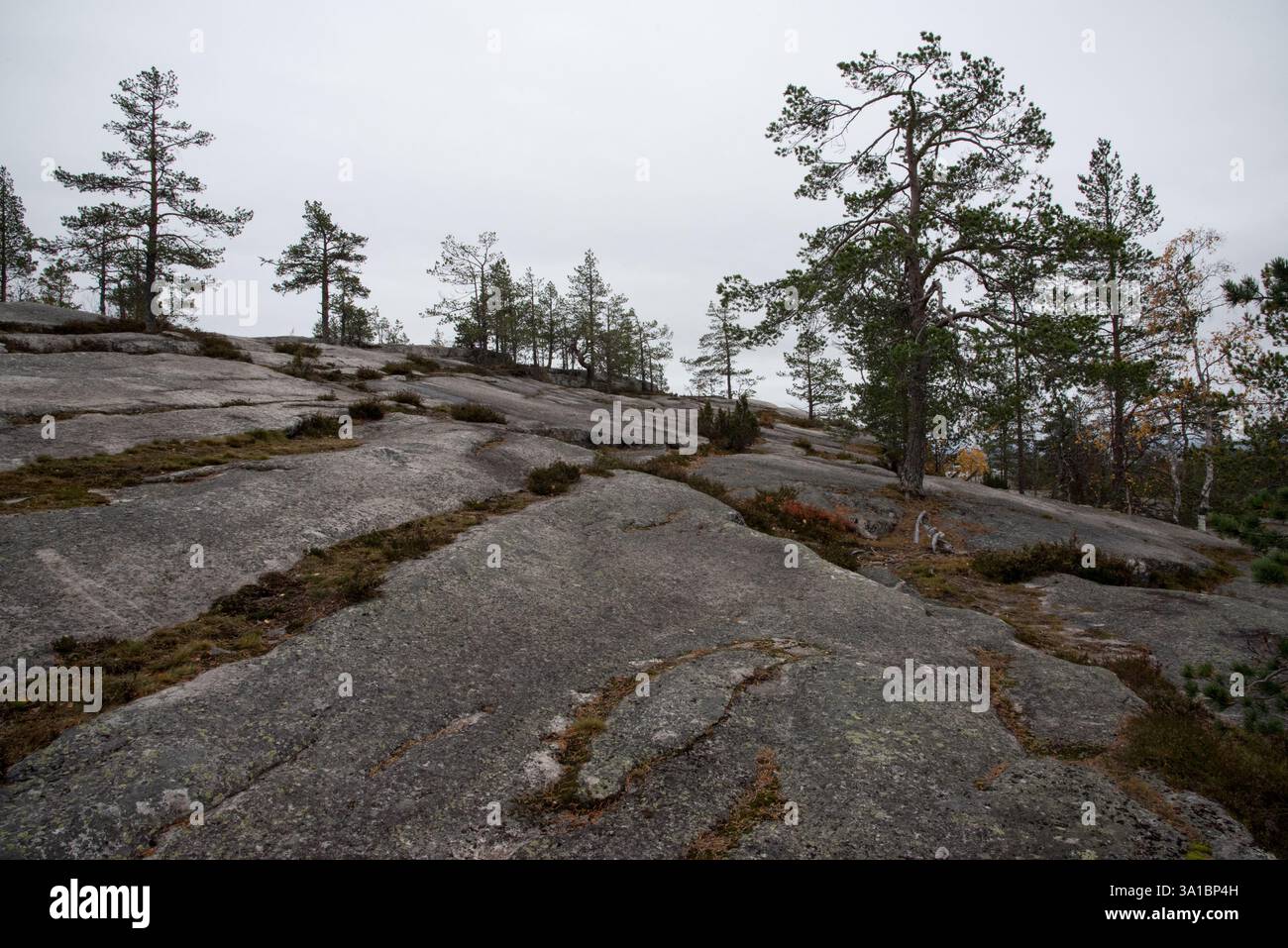 Luppioberget is a 195 meter high granite dome overlooking Torneälv ...