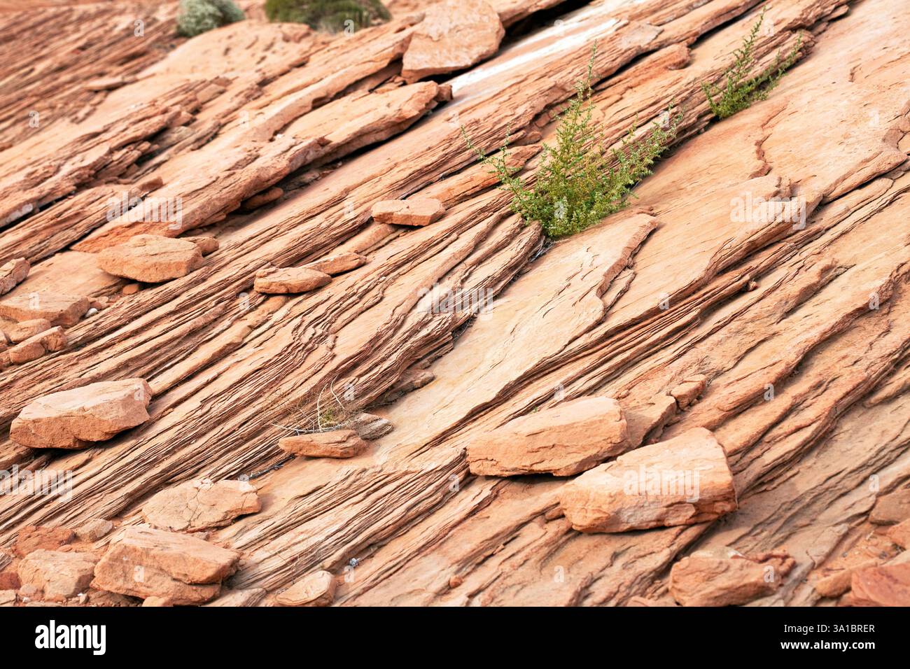 Cross-Bedded Sandstone Along the Shores of Lake Powell – Evidence of ...