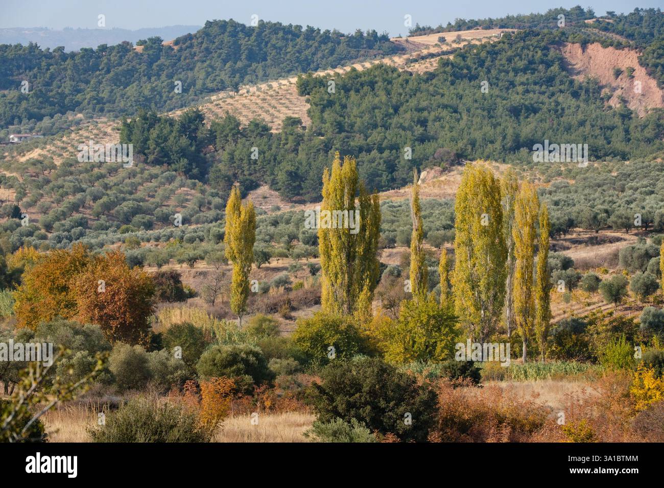Sardis, Turkey, Turkiye. Landscape West of the Temple of Artemis Stock ...