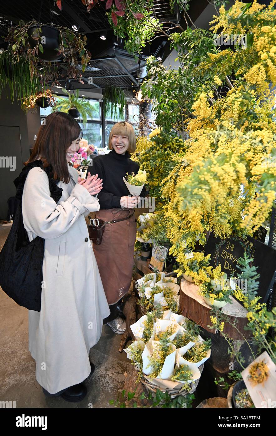 Mimosas line up at a flower shop in Minato Ward, Tokyo on March 8 ...