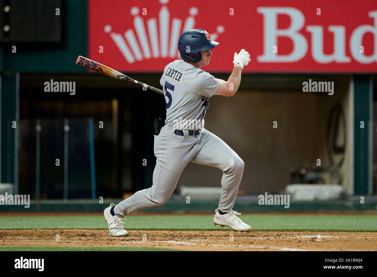 Auburn Tigers Bristol Carter (5) at bat during an NCAA baseball game ...
