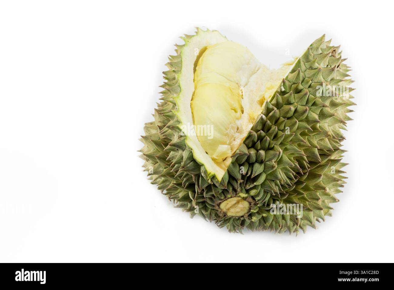 Durian king of fruit isolated on white background Stock Photo - Alamy