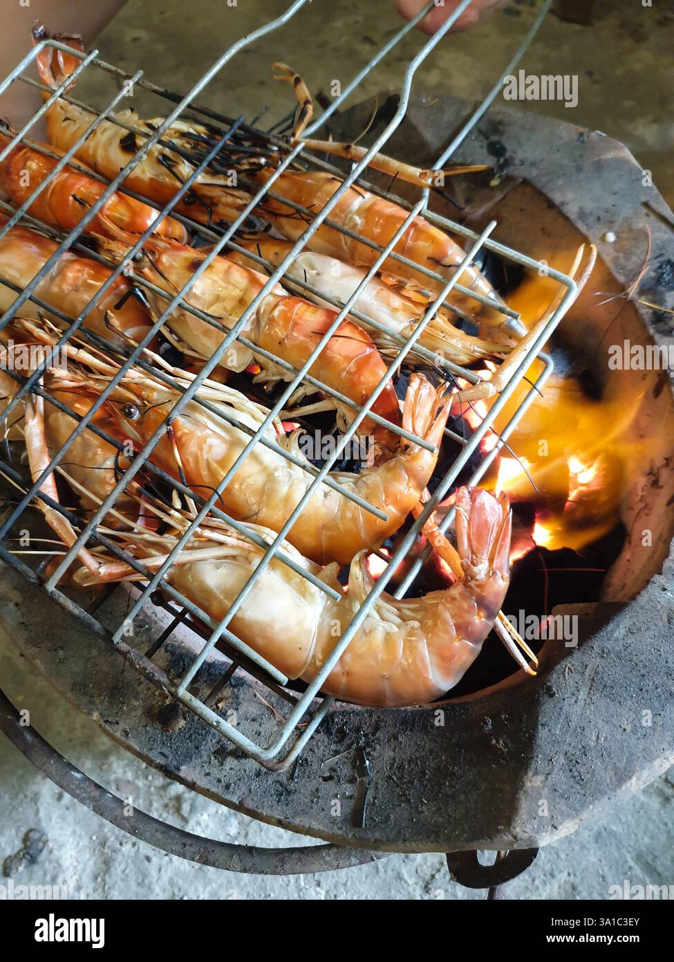 Grilled shrimp (Giant freshwater prawn) grilling with charcoal for sale ...