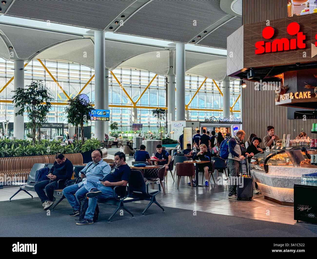 Istanbul, Turkey, Turkiye. Passengers Waiting in Istanbul Airport ...