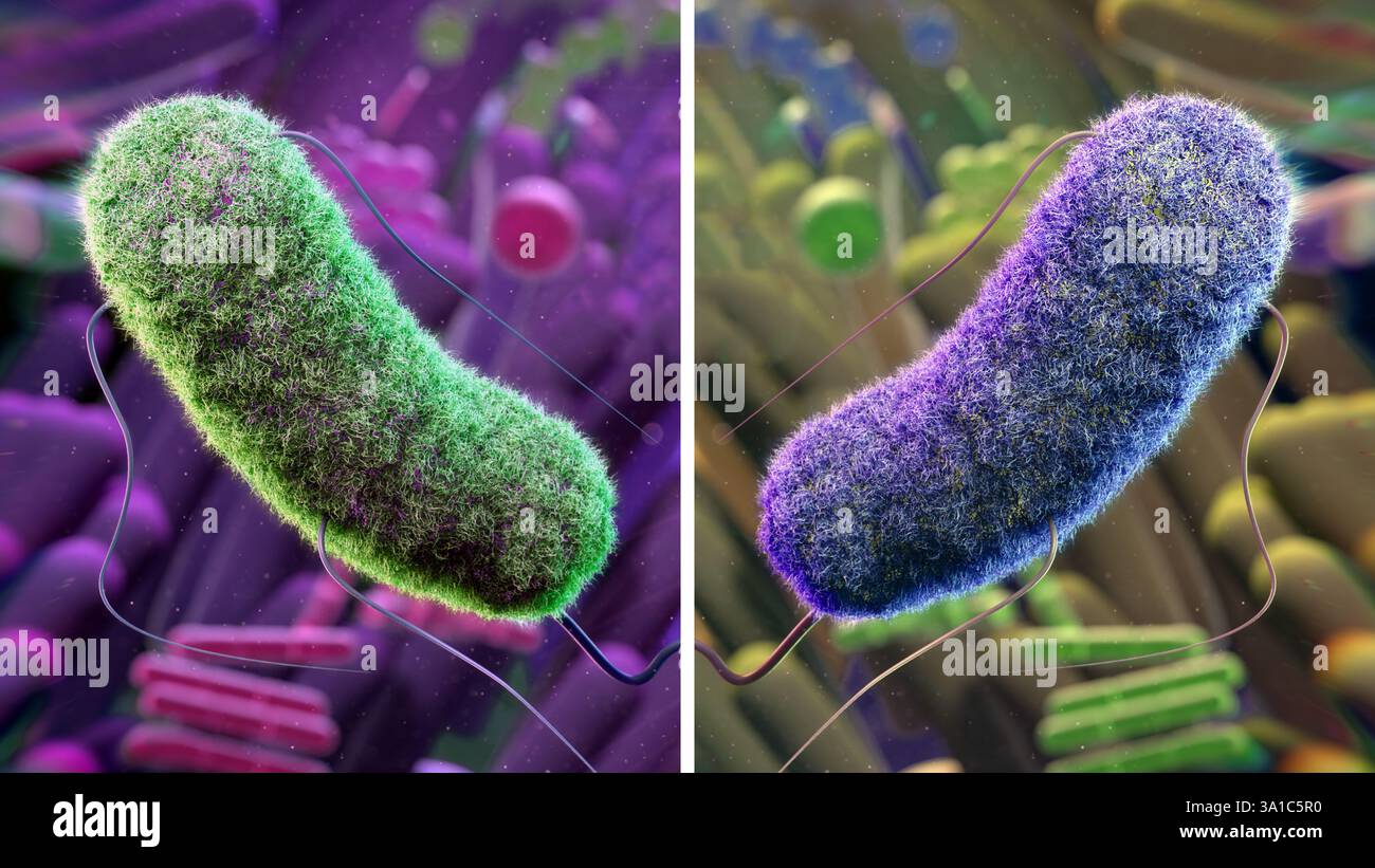 Cells of life hi-res stock photography and images - Alamy