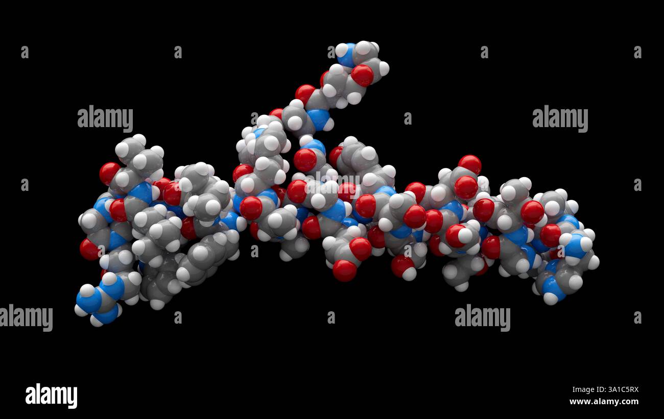 Illustration of a semaglutide molecule, which is a synthetic glucagon ...