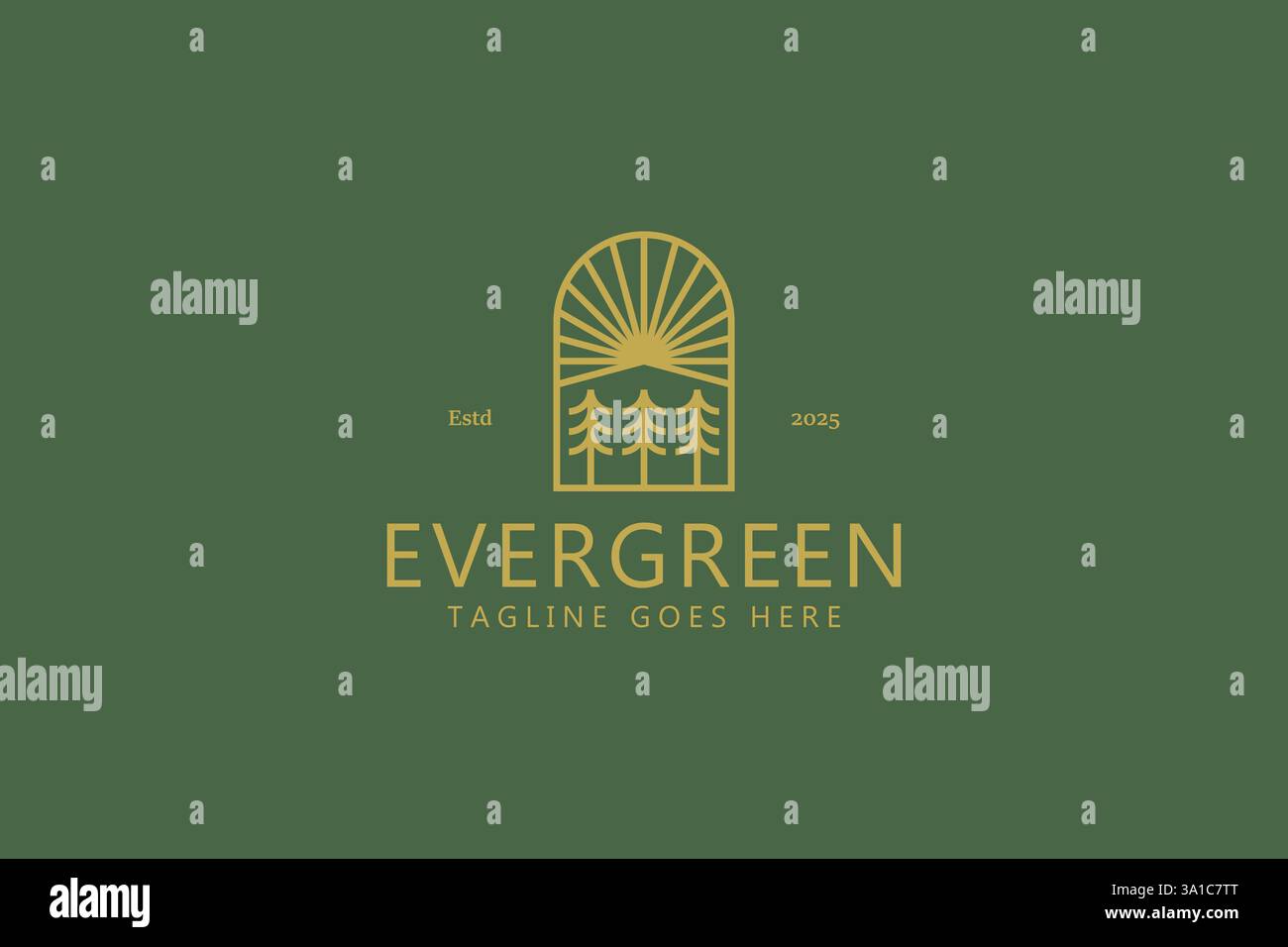 Evergreen Logo Emblem of Pine Tree and Outdoor Natural Beauty Forest ...