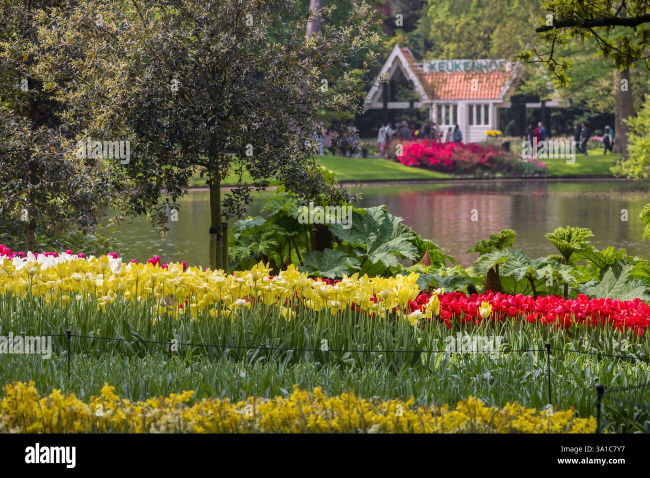 Scenic Keukenhof gardens in Lisse, Netherlands bright flower display along the canal Stock Photo ...