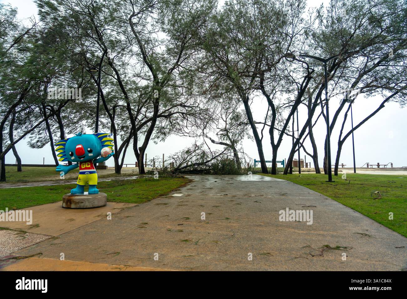 Gold Coast, QLD, Australia - Mar 8, 2025: Cyclone Alfred aftermath in ...